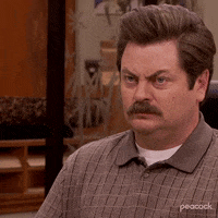 Ron Swanson Giddy Gif
