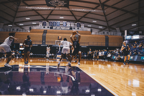 Portland Pilots GIFs on GIPHY - Be Animated