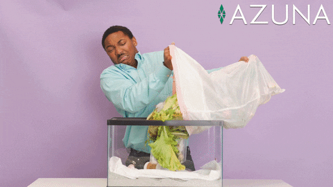 Smelly Laundry GIFs - Get the best GIF on GIPHY