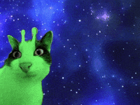 Gato Alien GIFs - Find & Share on GIPHY