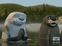 Gif De Phoque Bonne Journee Gif Les Gifs Animés De Dentelledelune