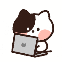 Cat Laptop Gif