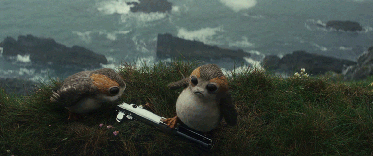 Jedi Animals Gif