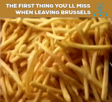 Belgian Fries GIFs - Get the best GIF on GIPHY