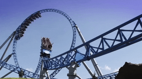 Amusement-park-attraction GIFs - Get the best GIF on GIPHY