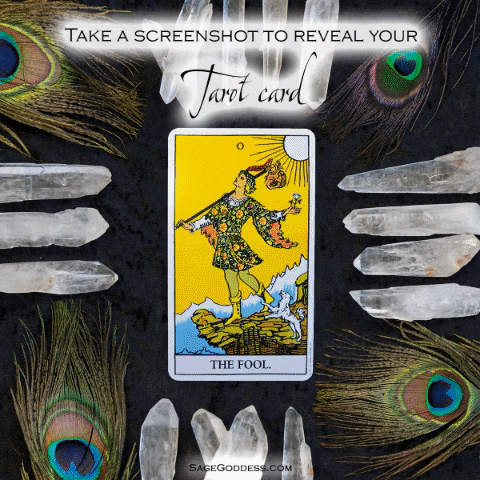The fool tarot card GIFs Get The Best GIF On GIPHY The fool tarot card GIFs Get The Best GIF On GIPHY