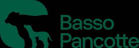 Basso Pancotte GIFs on GIPHY - Be Animated
