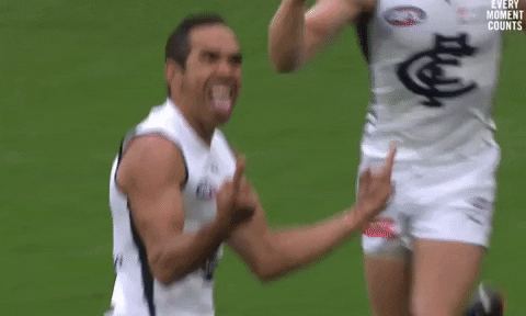 Afl Blues GIFs - Get the best GIF on GIPHY