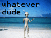 Whatever Dude Meme