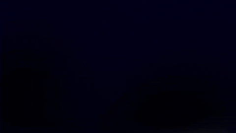 Discord-funny GIFs - Get the best GIF on GIPHY