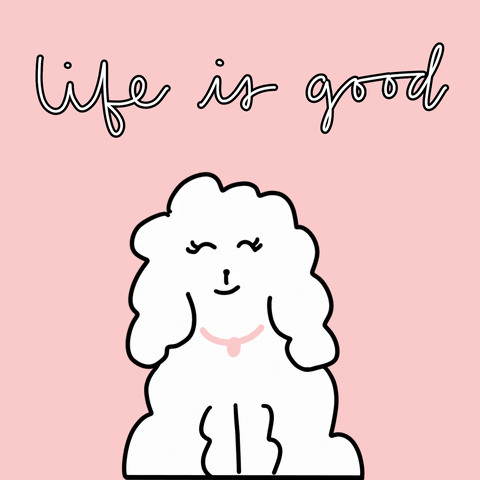 Life Is Good GIFs - Find & Share on GIPHY