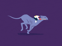 Greyhound Running Gif