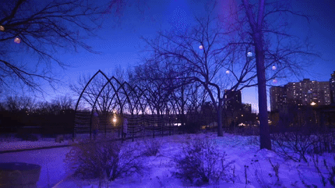 Arctic-glacier-winter-park GIFs - Get the best GIF on GIPHY
