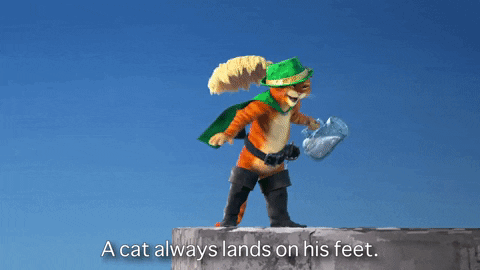 Cats Always Land On Their Feet GIFs - Get the best GIF on GIPHY