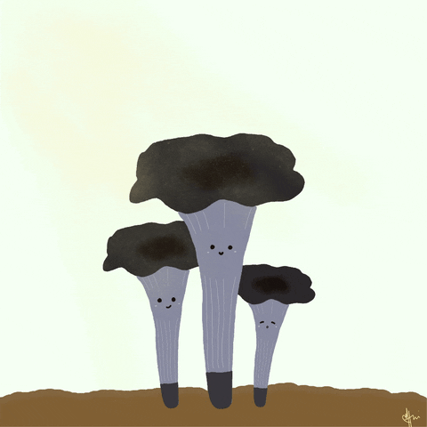Cute Mushroom GIFs - Get the best GIF on GIPHY