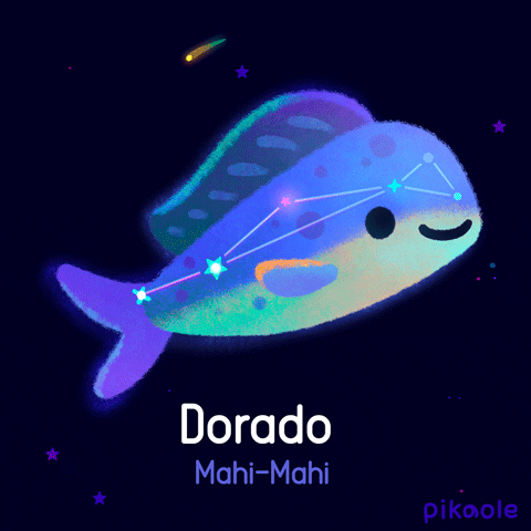 Dorado GIFs - Get the best GIF on GIPHY