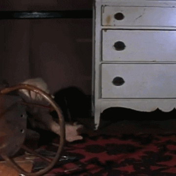 The Basket Case GIFs - Find & Share on GIPHY