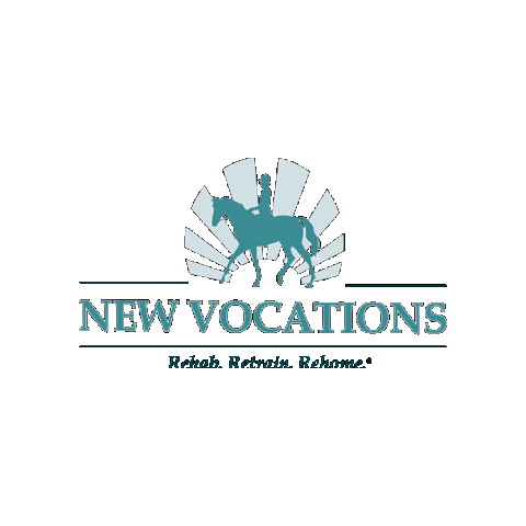 New Vocations Racehorse Adoption Program GIFs on GIPHY - Be Animated