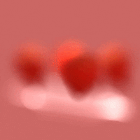 Food Love GIF - Find & Share on GIPHY