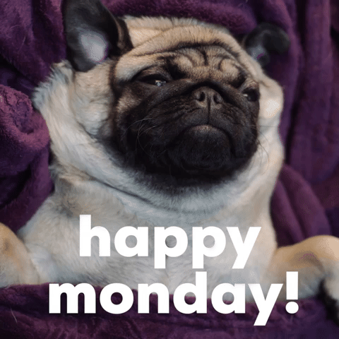 Happy Monday Dog Meme