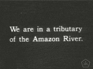 The-amazon-river GIFs - Get the best GIF on GIPHY