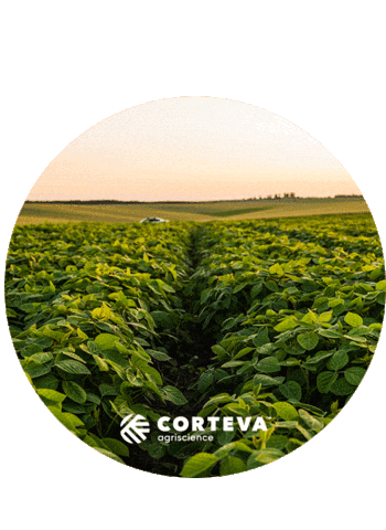 Corteva Brasil GIFs on GIPHY - Be Animated