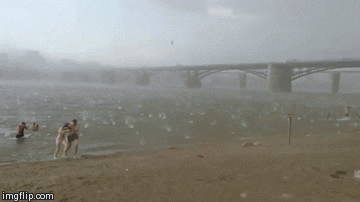 beachgoers | Tag | PrimoGIF