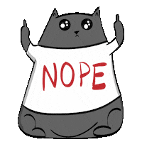 Nope Nope Nope Gif Cat