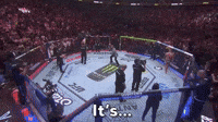 UFC GIFs on GIPHY - Be Animated