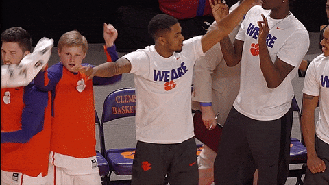 Baseketball Gif Happy Dance