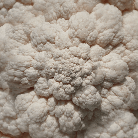 Pixel-volcano GIFs - Get the best GIF on GIPHY