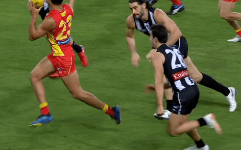Josh Afl GIF by CollingwoodFC - Find & Share on GIPHY
