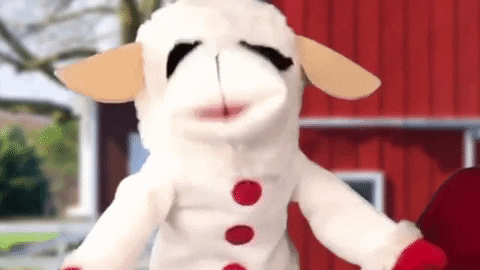 Animal Puppet GIFs - Get the best GIF on GIPHY