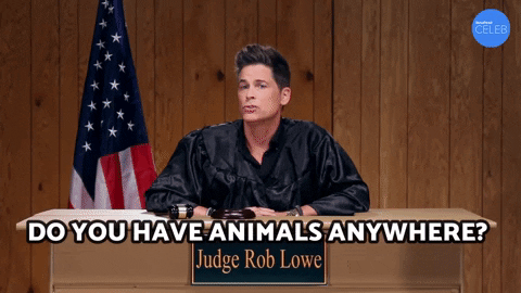 Having-horrible-friends GIFs - Get the best GIF on GIPHY