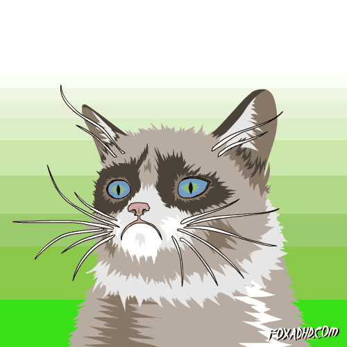 Grumpy Cat Animated Gif
