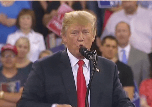 Trump-jerking GIFs - Get the best GIF on GIPHY