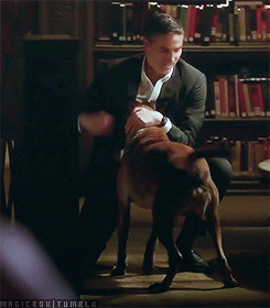 Person Of Interest GIFs - Find & Share on GIPHY