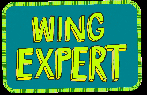 Wing Expert GIFs - Get the best GIF on GIPHY