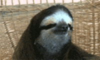 Creepy Sloth Gif