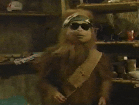 Loss Of Signal GIFs - Get the best GIF on GIPHY