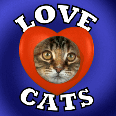 Heart Cats GIF - Find & Share on GIPHY