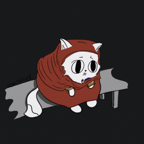 Pray Cat GIFs - Find & Share on GIPHY