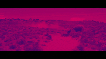 1M Music. Production / Management / Distribution / Publishing. GIFs on ...