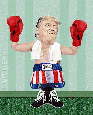 Trump Boxing GIFs - Get the best GIF on GIPHY