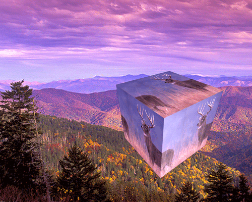 Plain Color GIFs - Get the best GIF on GIPHY