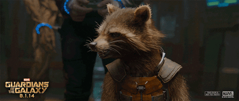Guardians Of The Galaxy Rocket Raccoon Gif