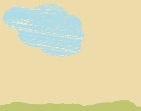 Small-tortoise GIFs - Get the best GIF on GIPHY