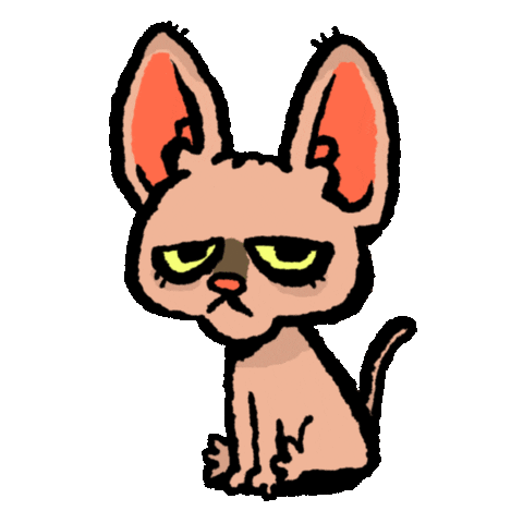 Sphynx Cats GIFs on GIPHY - Be Animated
