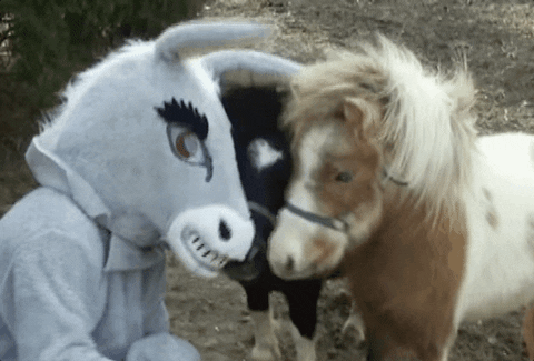 Donkey Friends GIFs - Get the best GIF on GIPHY