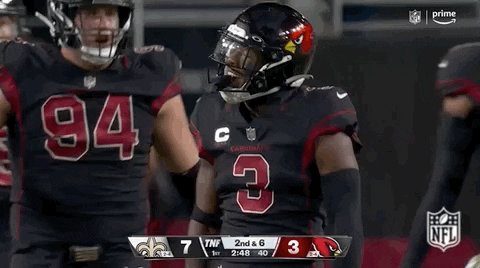 Arizona Cardinals Football GIF by NFL - Find & Share on GIPHY